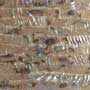 Abalone Shell Veneer Sheets, genuine shell